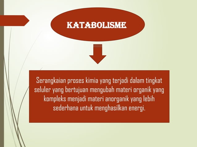ppt metabolisme, enzim dan cara kerja enzim | PPTX