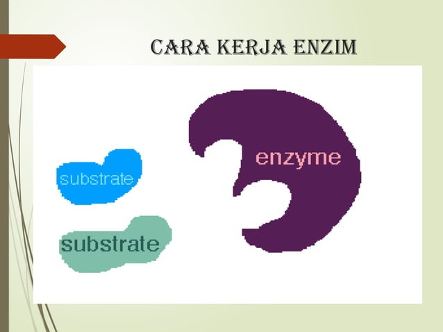 ppt metabolisme, enzim dan cara kerja enzim | PPTX