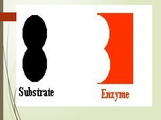 ppt metabolisme, enzim dan cara kerja enzim | PPTX