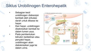 PPT Metabolisme Bilirubin.pptx