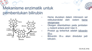 PPT Metabolisme Bilirubin.pptx