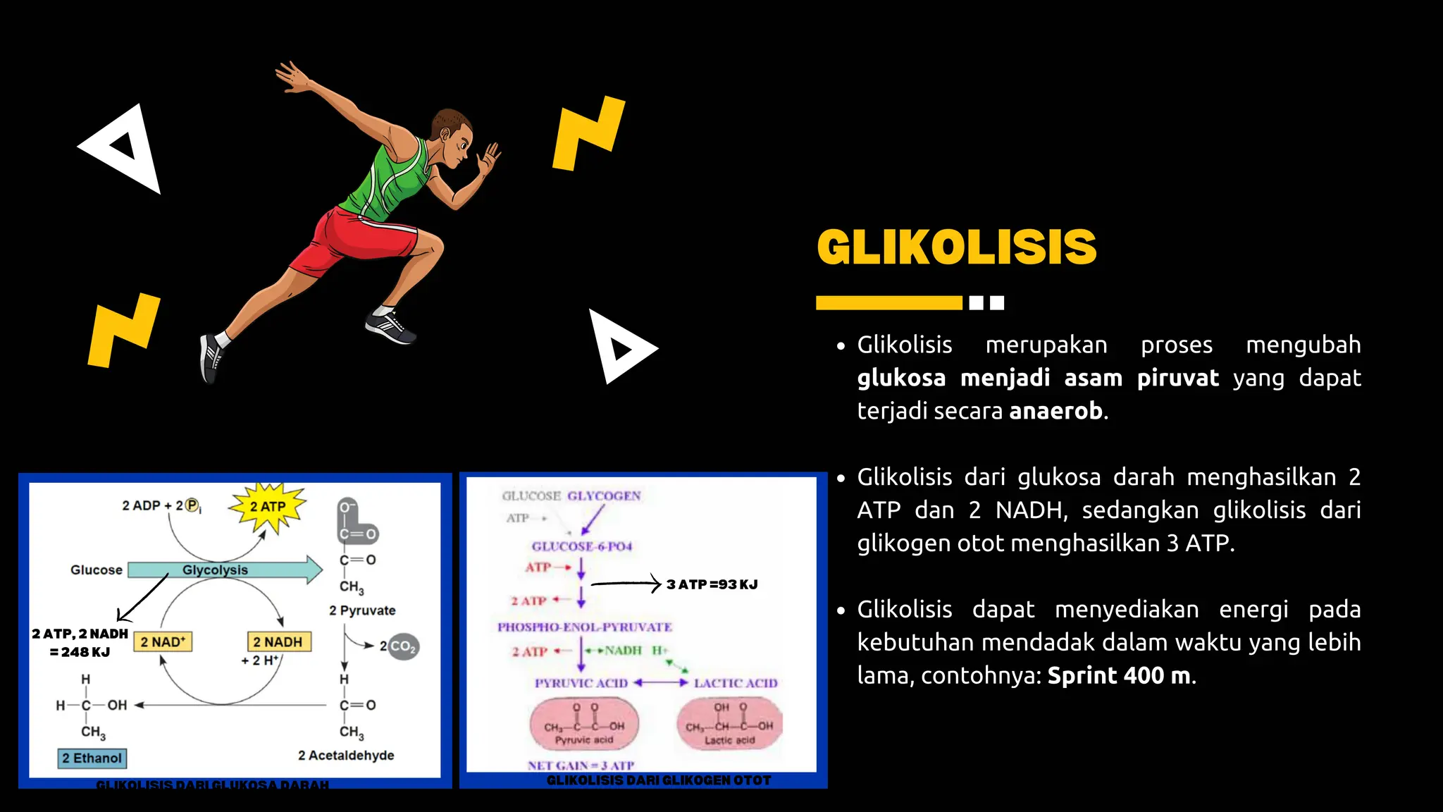 PPT METABOLISME ENERGI AEROBIK DAN ANAEROBIK | PDF