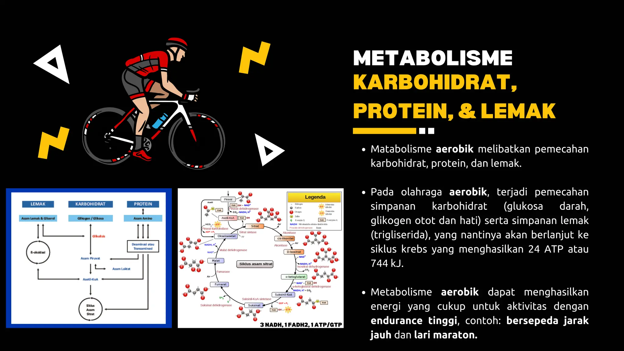 PPT METABOLISME ENERGI AEROBIK DAN ANAEROBIK | PDF