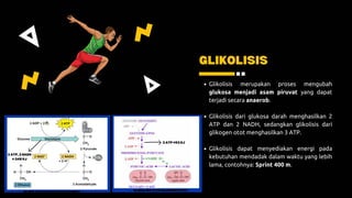 PPT METABOLISME ENERGI AEROBIK DAN ANAEROBIK | PPT