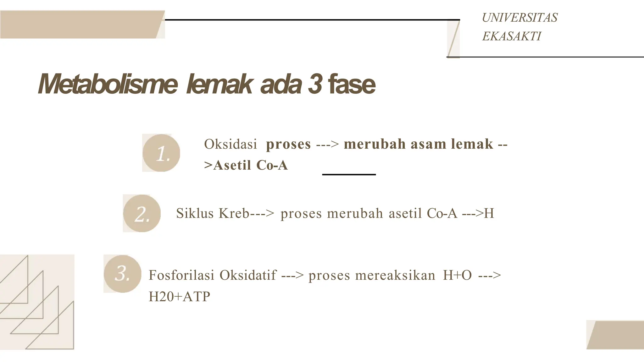 ppt metabolisme lemak (1).pptx