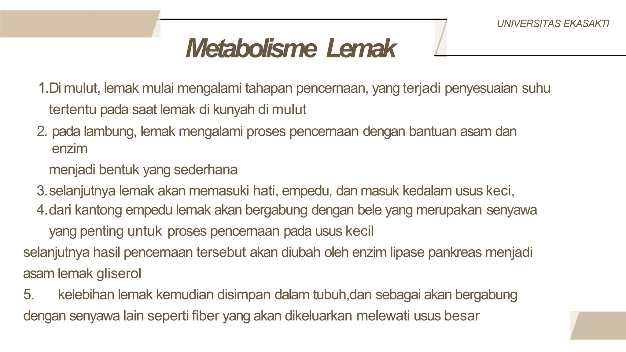 ppt metabolisme lemak (1).pptx