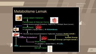 ppt metabolisme lemak (1).pptx