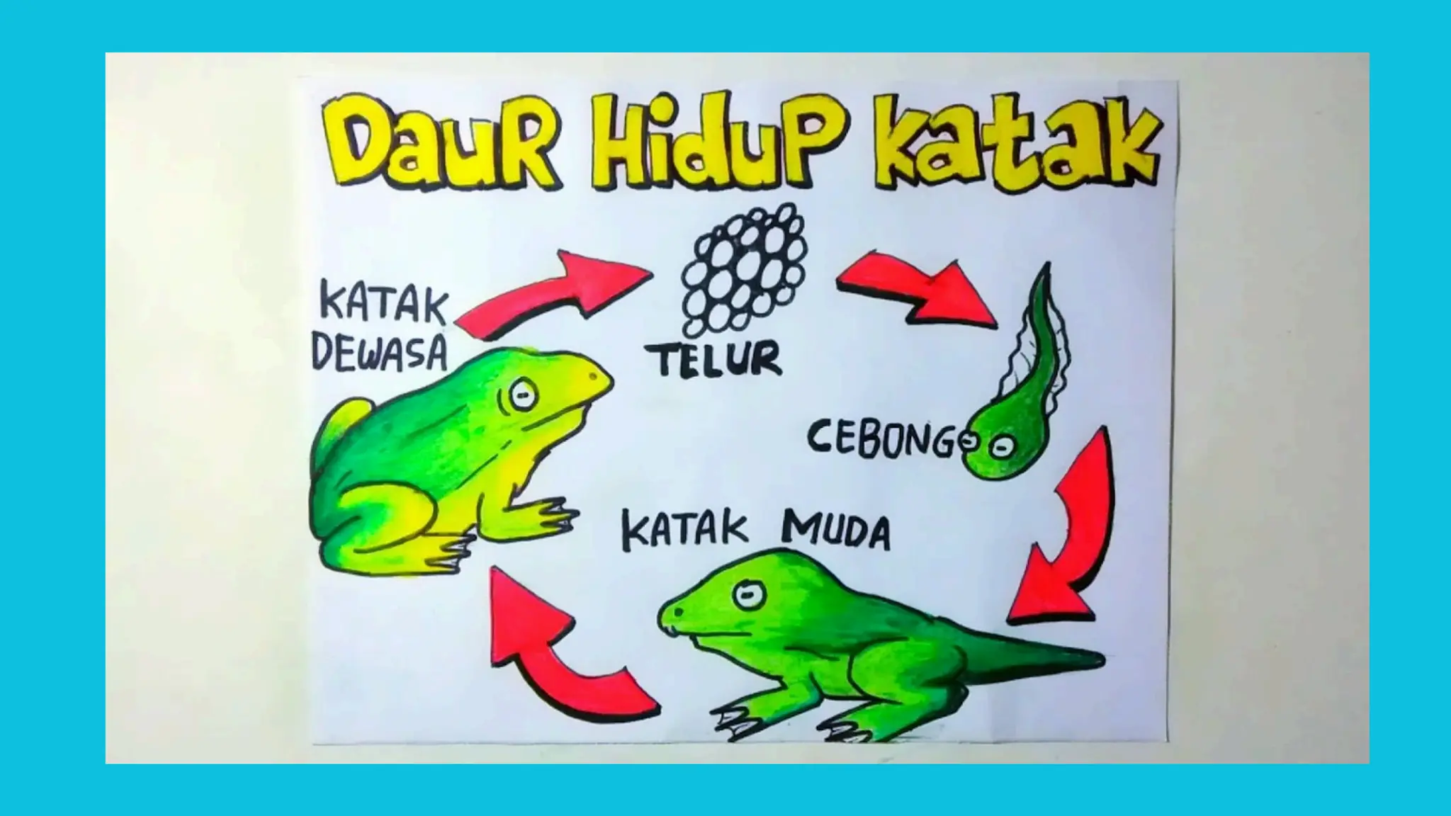 MODUL AJAR PPT METAMORFOSIS IPAS KELAS III.pdf