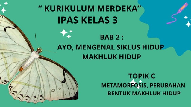 MODUL AJAR PPT METAMORFOSIS IPAS KELAS III.pdf