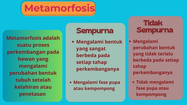 MODUL AJAR PPT METAMORFOSIS IPAS KELAS III.pdf