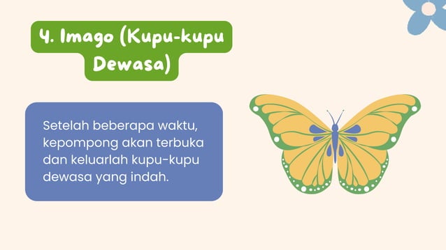 PPT Metamorfosis Sempurna dan tidak Sempurna Anggraeni Wahyu Arini dan Argandaru Dimas.pdf