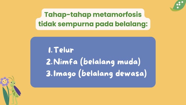 PPT Metamorfosis Sempurna dan tidak Sempurna Anggraeni Wahyu Arini dan Argandaru Dimas.pdf