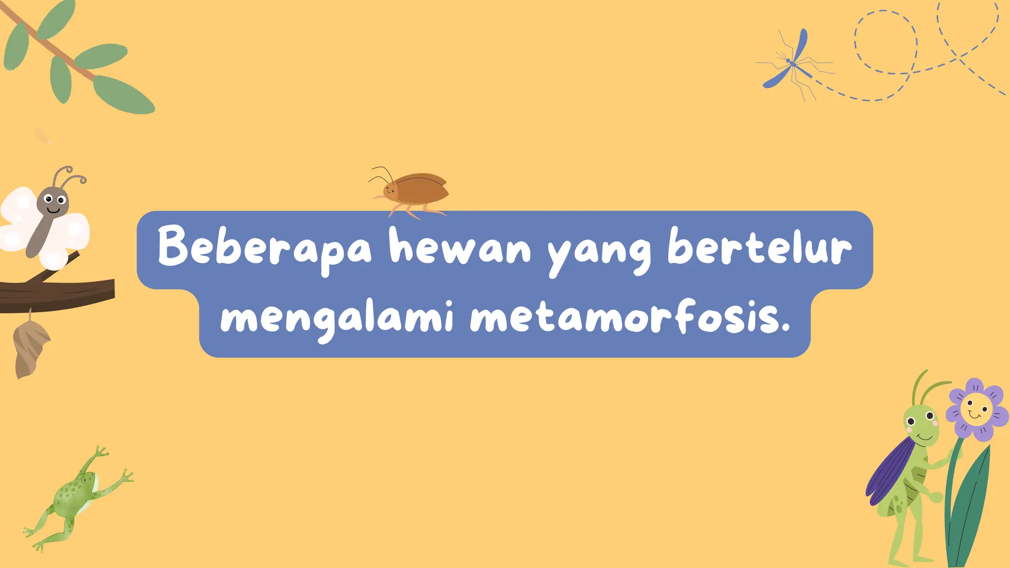 Metamorfosis pada Hewan IPAS Kelas 3 Bab 2 Topik C | PDF