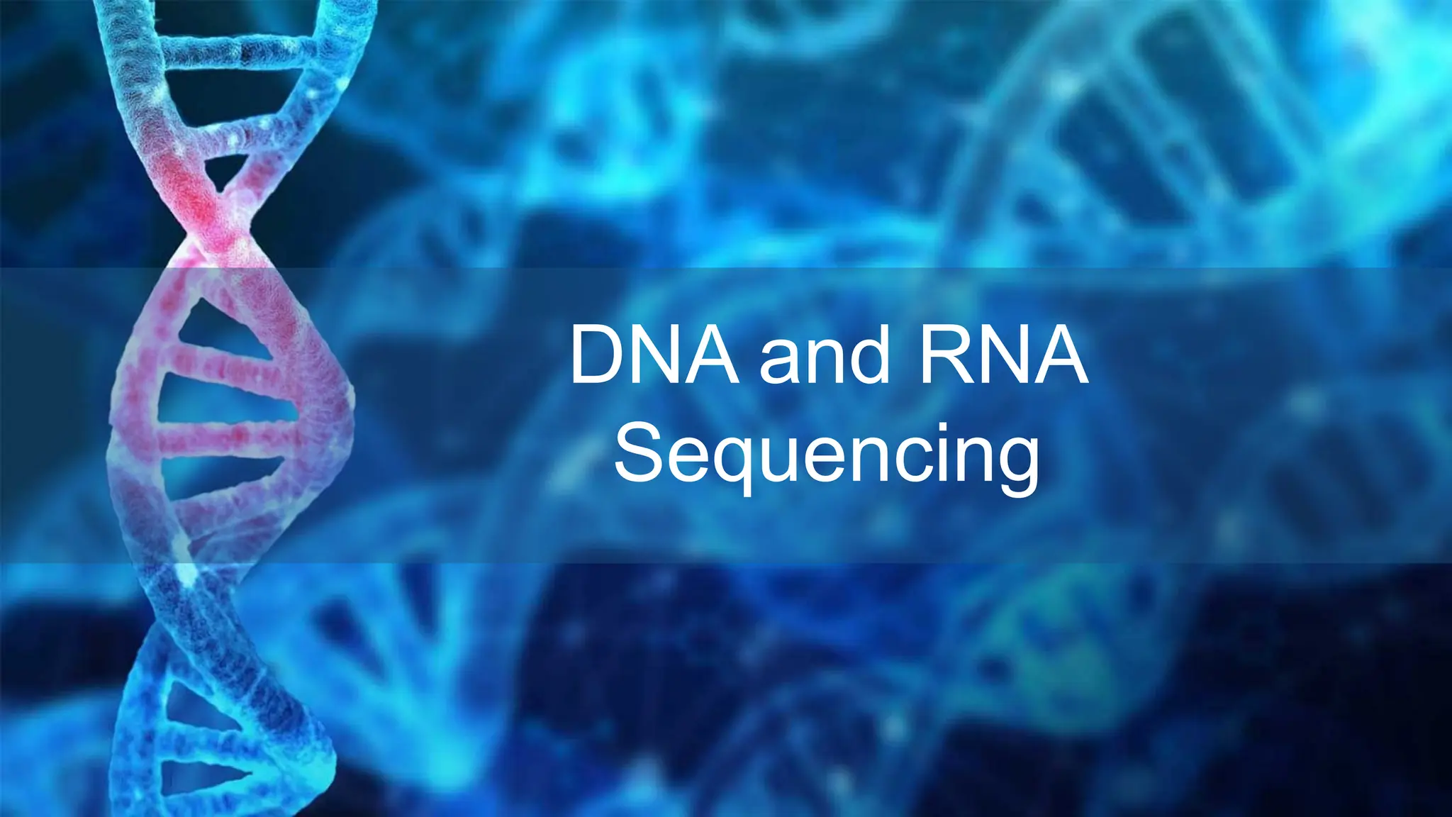 PPT Metode Analisis DNA RNA UTS_Rinjani Ayundatika Putri_24030123420010 ...