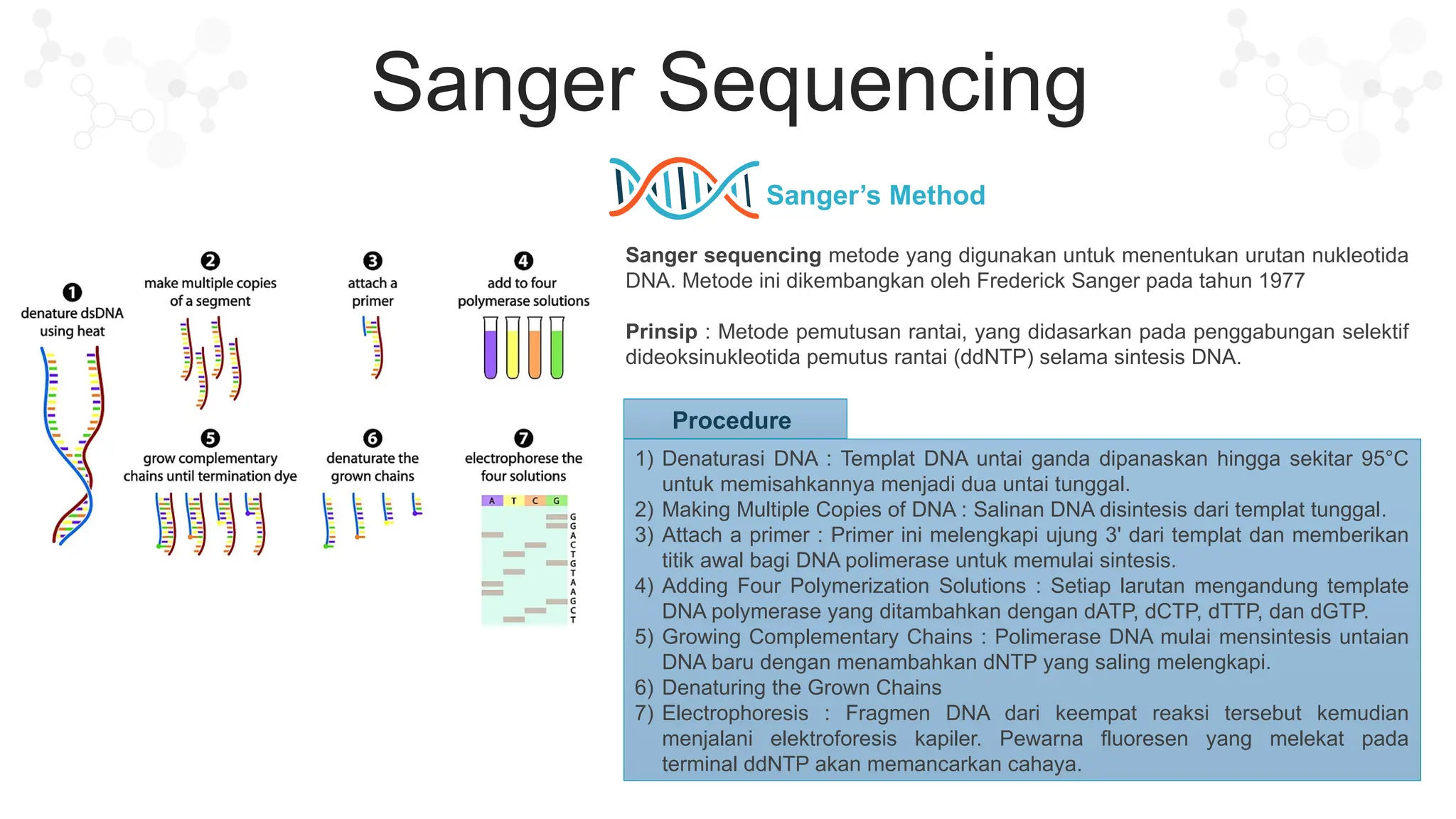 PPT Metode Analisis DNA RNA UTS_Rinjani Ayundatika Putri_24030123420010 ...