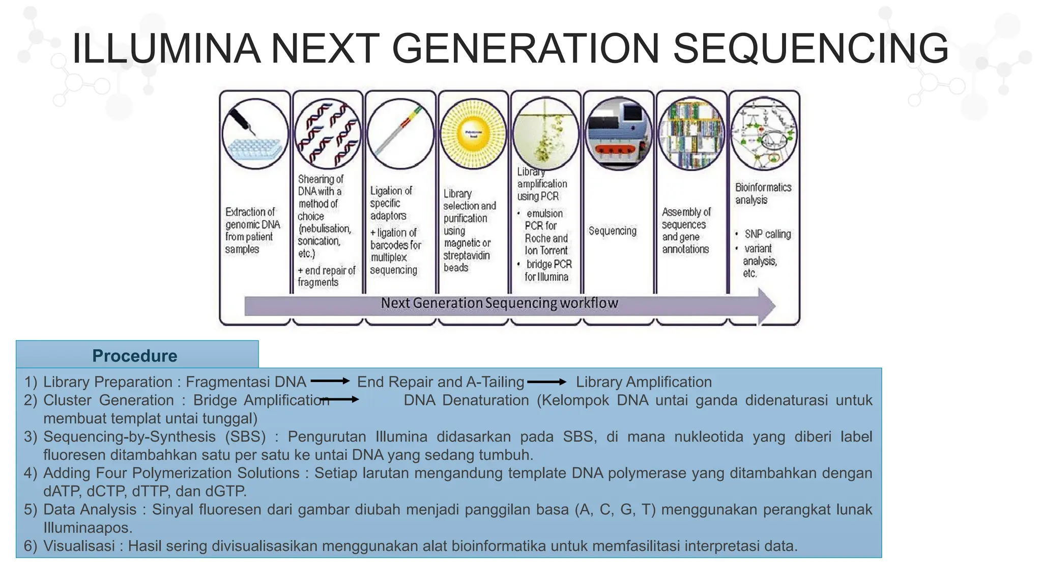 PPT Metode Analisis DNA RNA UTS_Rinjani Ayundatika Putri_24030123420010 ...