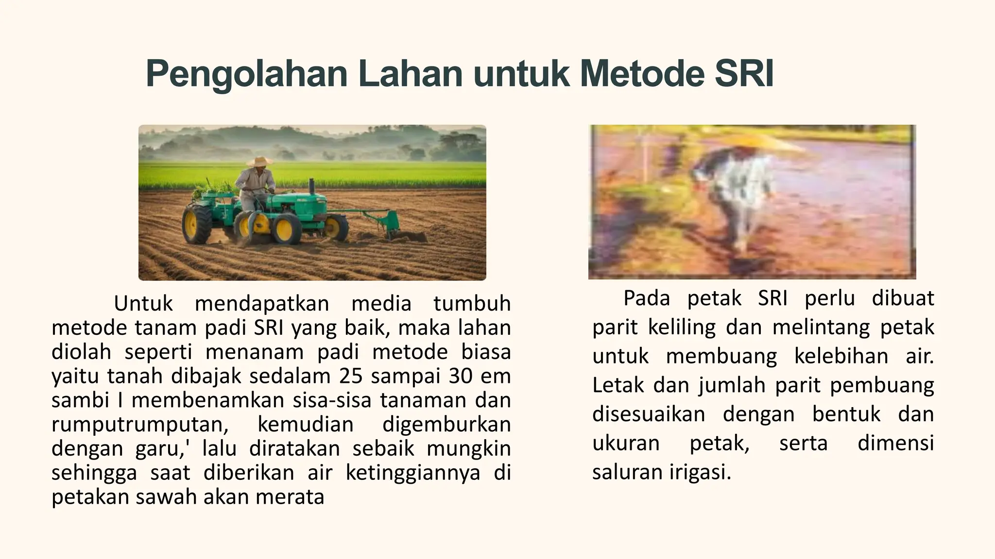PPT budidaya pasi dengan menggunakan metode sri | PPTX