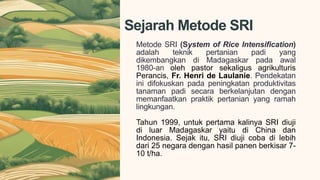 PPT budidaya pasi dengan menggunakan metode sri | PPTX