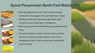 PPT budidaya pasi dengan menggunakan metode sri | PPTX