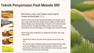 PPT budidaya pasi dengan menggunakan metode sri | PPTX