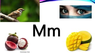 PPT_Mga Letra sa Alpabeto.pptx