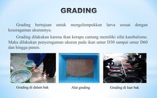 PPT MH KEL. 1 (BU YUNI).pptx