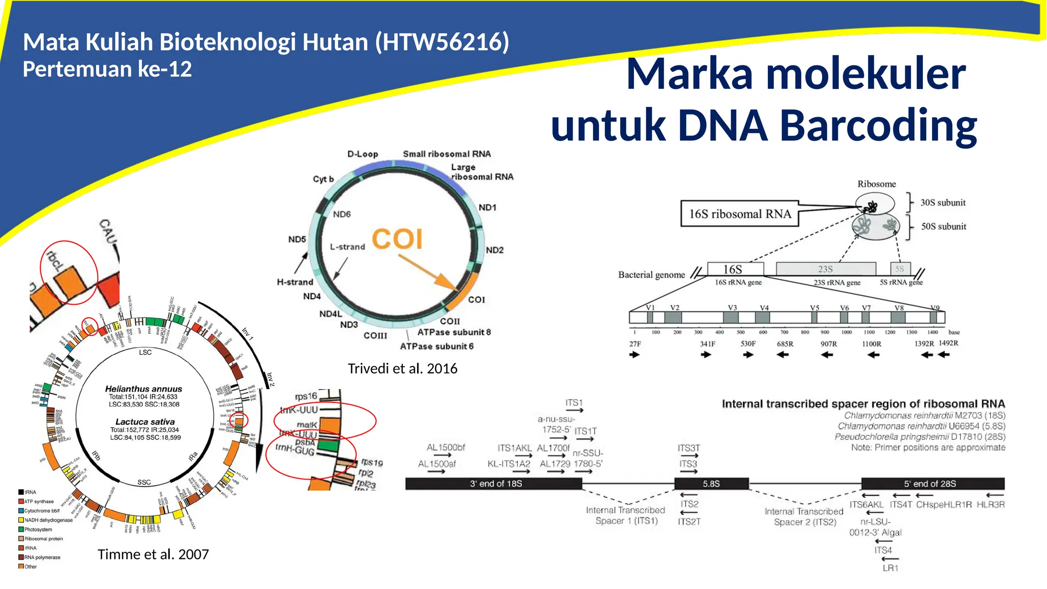 PPT microteaching_DNA Barcoding_fixed.pptx