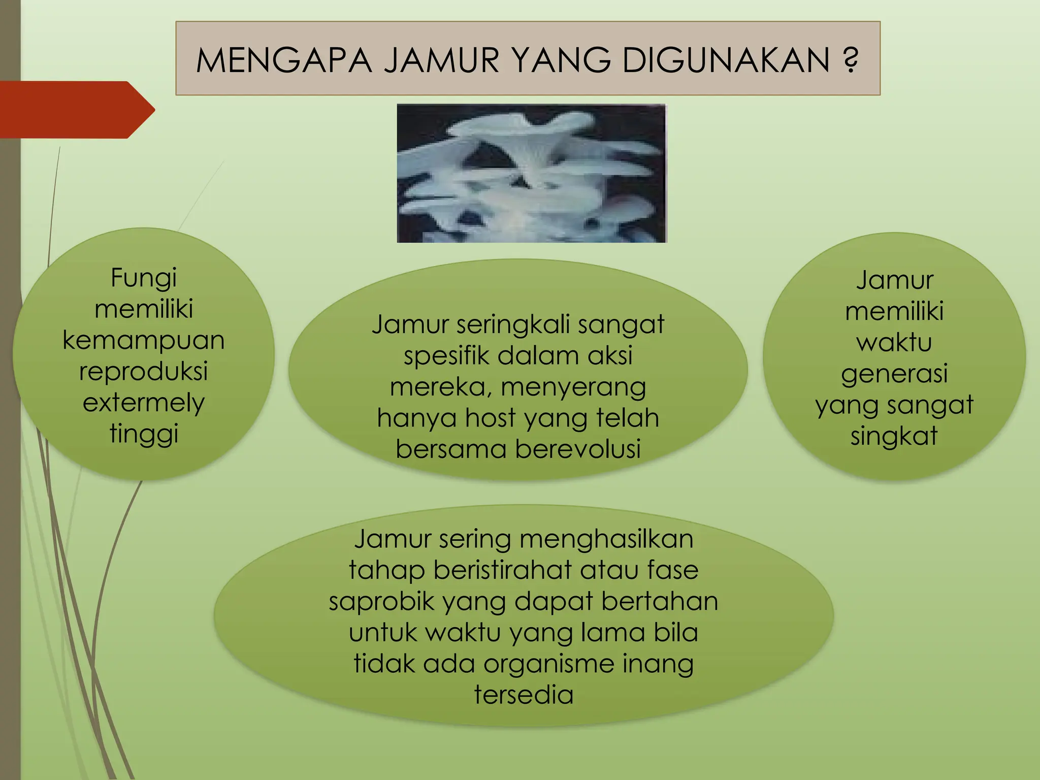 PPT MIKOLOGIiiiiiiiiiiiiiiiiiiiiiiiiiiiiiiiiiiiii ..pptx