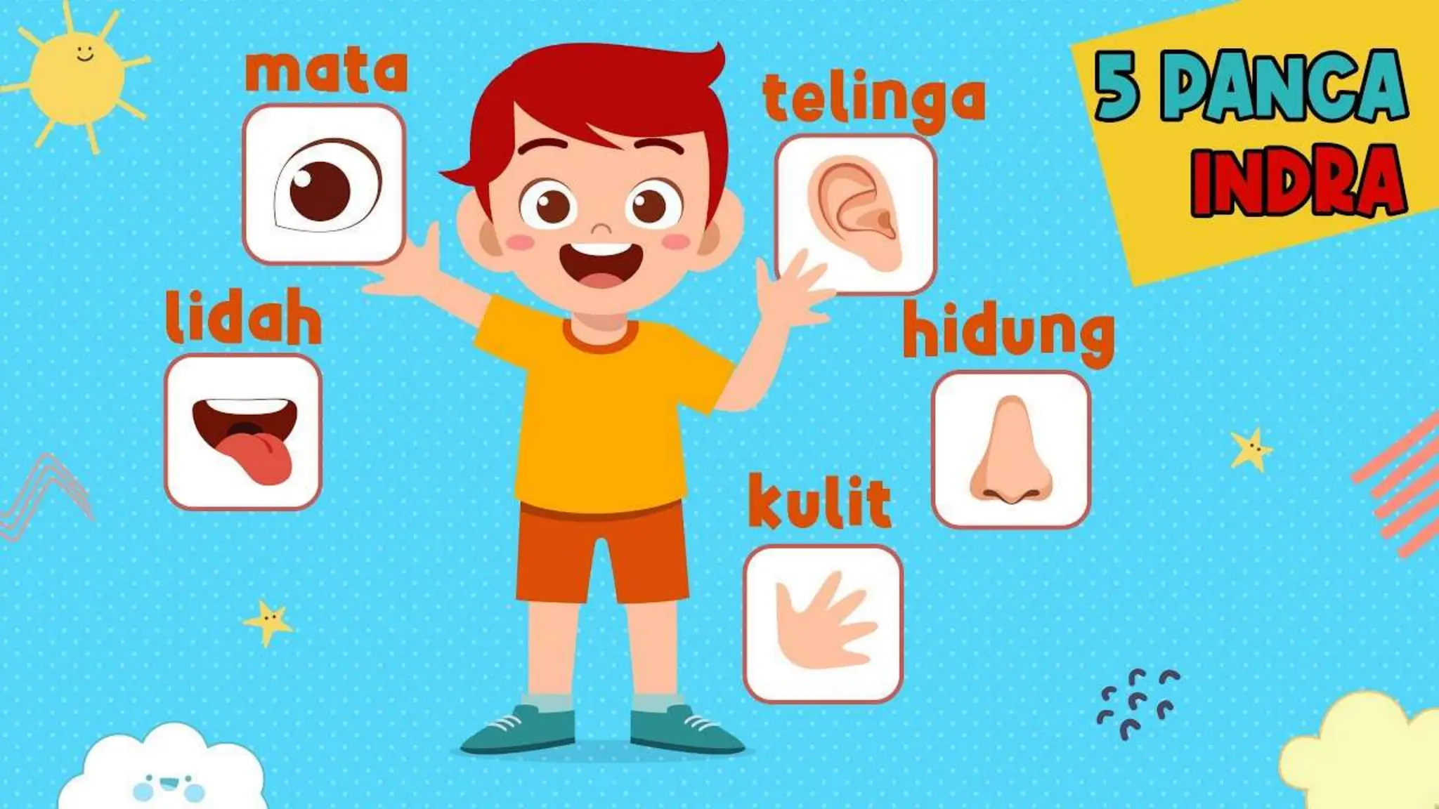 PPT materi tubuhku. mata pelajaran ipas sd | PPTX