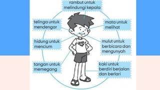 PPT materi tubuhku. mata pelajaran ipas sd | PPTX