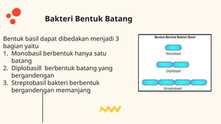 PPT MIKROBIOLOGI.MORFOBIOLOGI BAKTERI DISUSUN OLEH ADITYA PRATAMA | PPTX