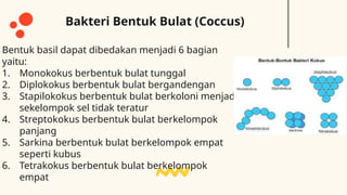 PPT MIKROBIOLOGI.MORFOBIOLOGI BAKTERI DISUSUN OLEH ADITYA PRATAMA | PPTX