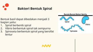 PPT MIKROBIOLOGI.MORFOBIOLOGI BAKTERI DISUSUN OLEH ADITYA PRATAMA | PPTX
