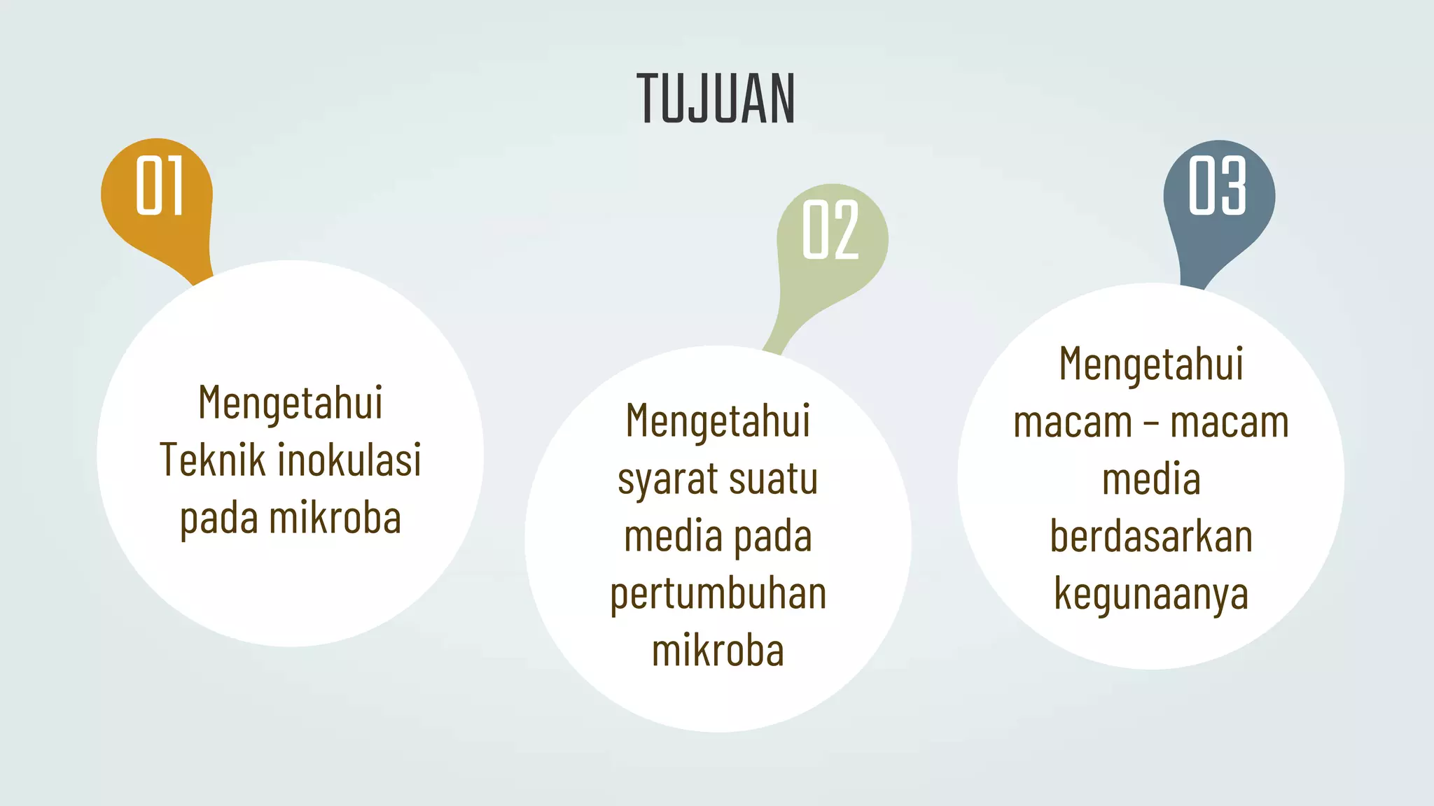 Makalah Mikrobiologi & Virologi: 4. | Teknik Inokulasi Mikroba dan ...