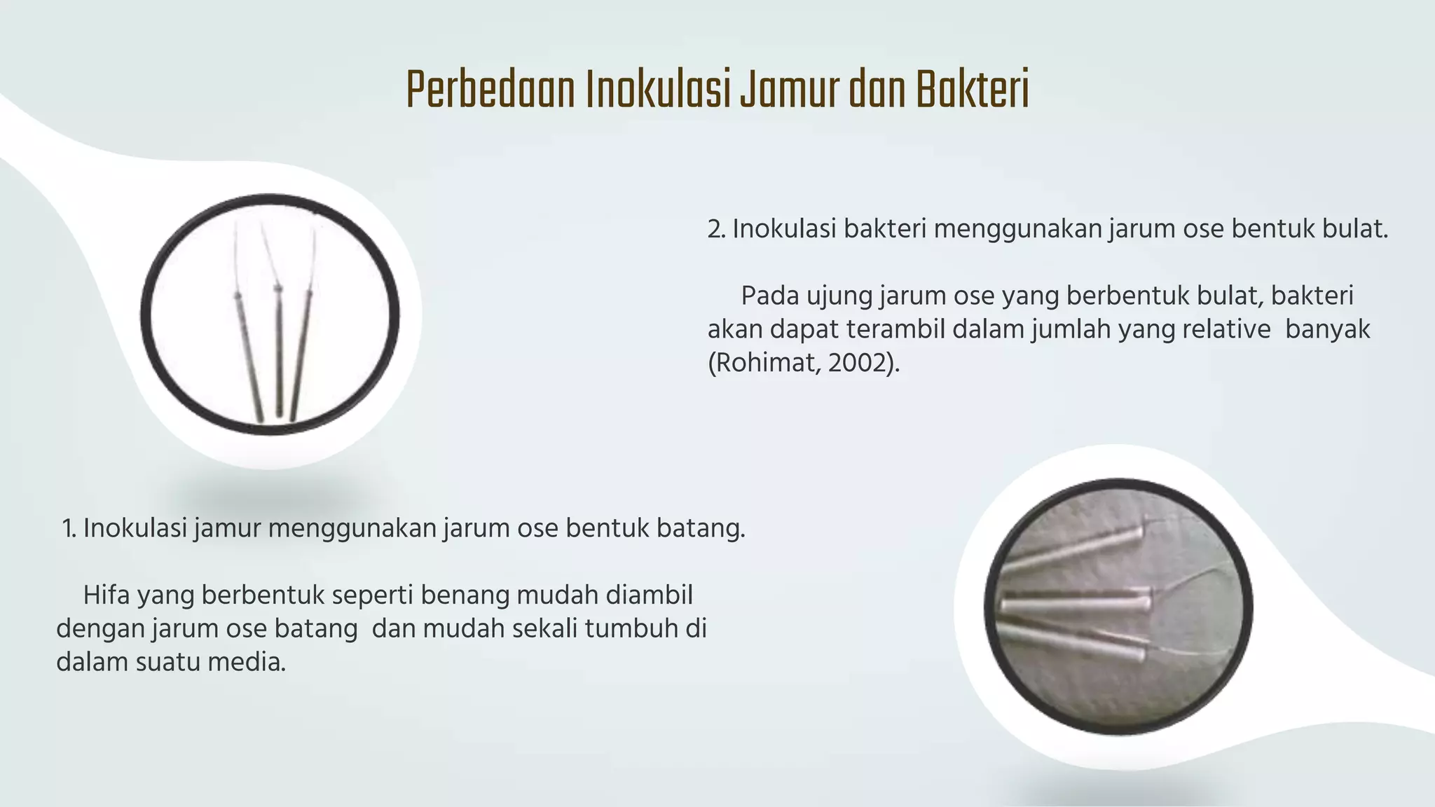 Makalah Mikrobiologi & Virologi: 4. | Teknik Inokulasi Mikroba dan ...