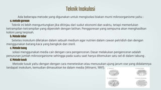 Makalah Mikrobiologi & Virologi: 4. | Teknik Inokulasi Mikroba dan ...