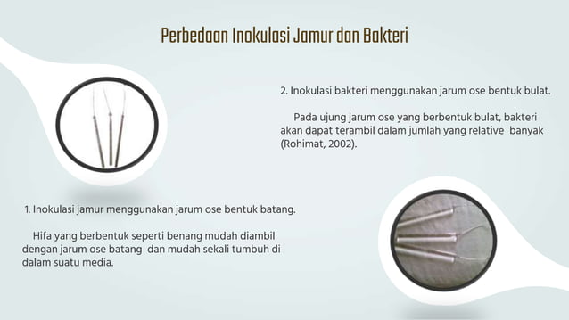 Makalah Mikrobiologi & Virologi: 4. | Teknik Inokulasi Mikroba dan ...