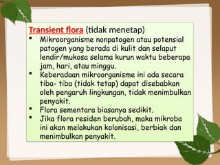 ppt mikrobiologi hubungan flora normal dan sistem imun dalam tubuh .pptx