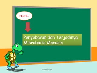 ppt mikrobiologi hubungan flora normal dan sistem imun dalam tubuh .pptx