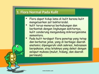ppt mikrobiologi hubungan flora normal dan sistem imun dalam tubuh .pptx