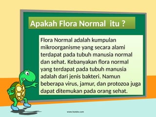 ppt mikrobiologi hubungan flora normal dan sistem imun dalam tubuh .pptx