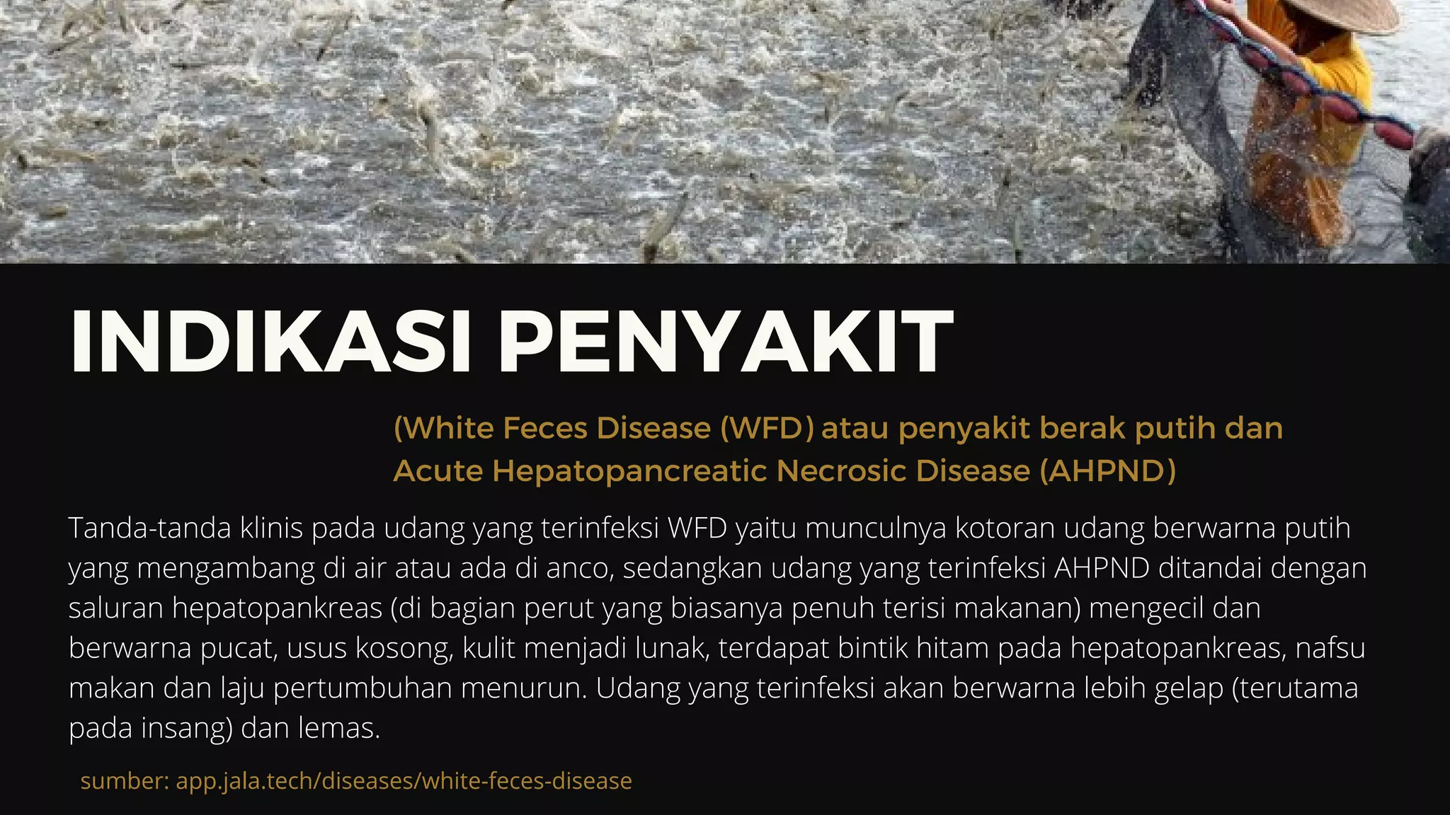 PPT Mikro Kel. 5.pdf