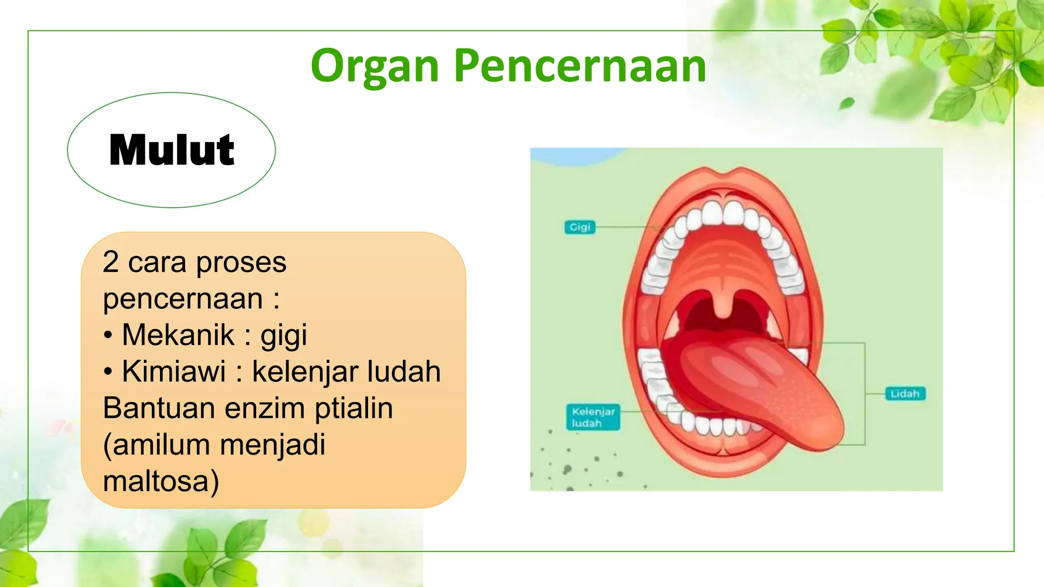 PPT MIKROTEACHING_PUTRI ROMAULI HUTASOIT (1).ppt