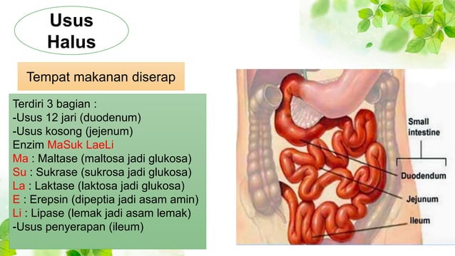 PPT MIKROTEACHING_PUTRI ROMAULI HUTASOIT (1).ppt