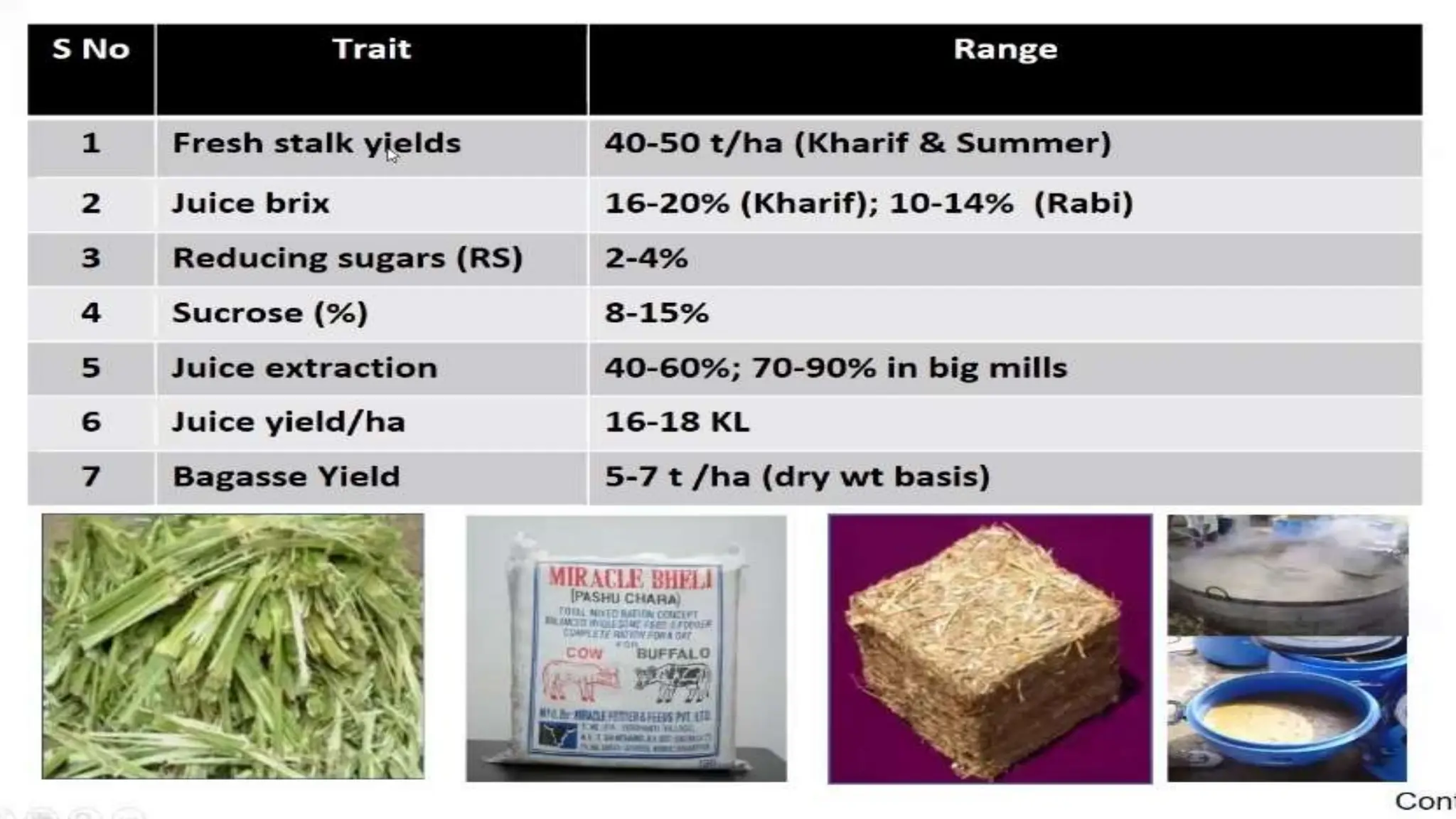 PPT_millets.pptx international millet ye | PPTX