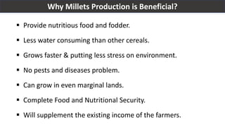 PPT_millets.pptx international millet ye | PPT