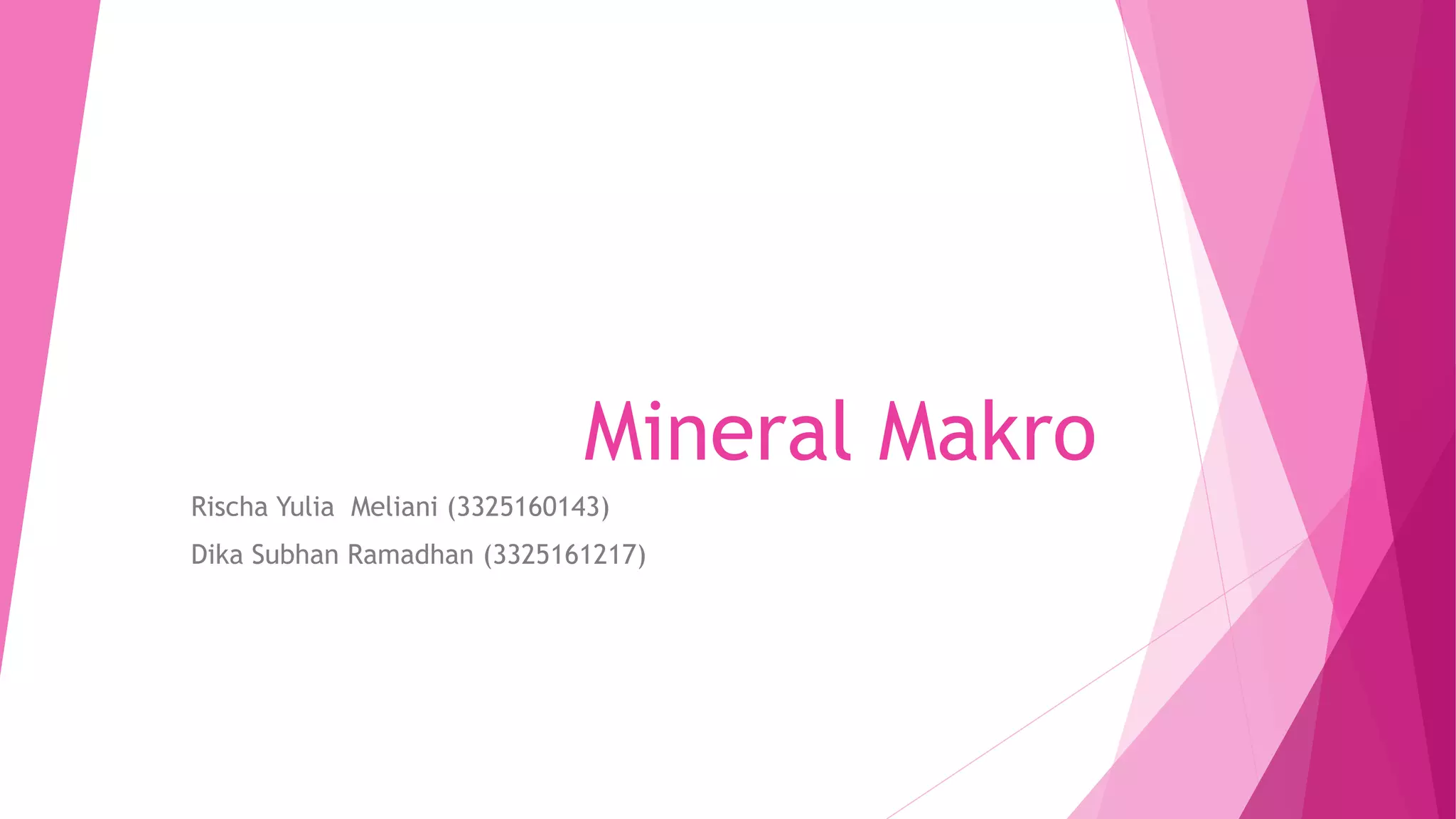 Ppt mineral makro dika rischa | PPTX