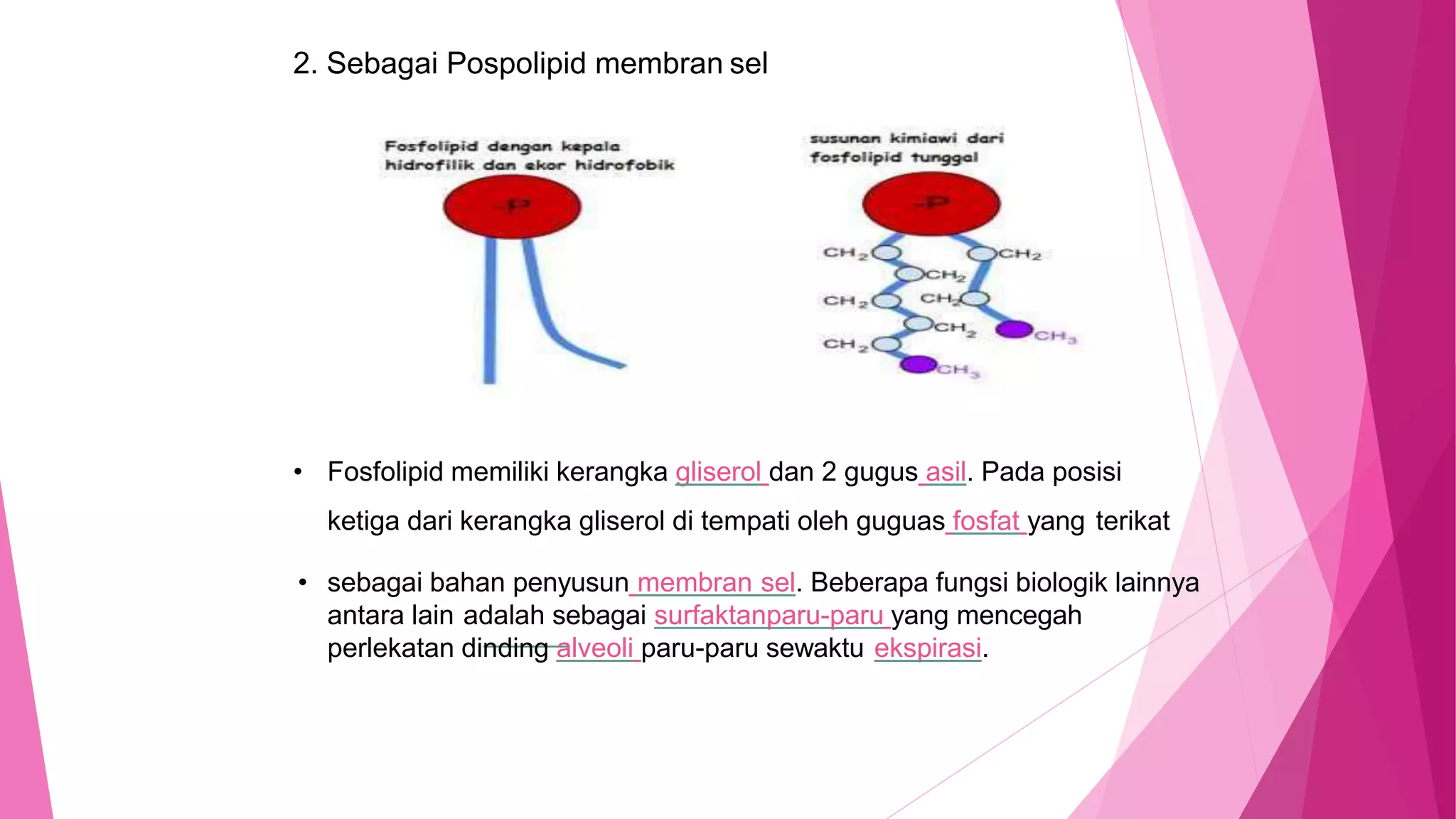Ppt mineral makro dika rischa | PPTX
