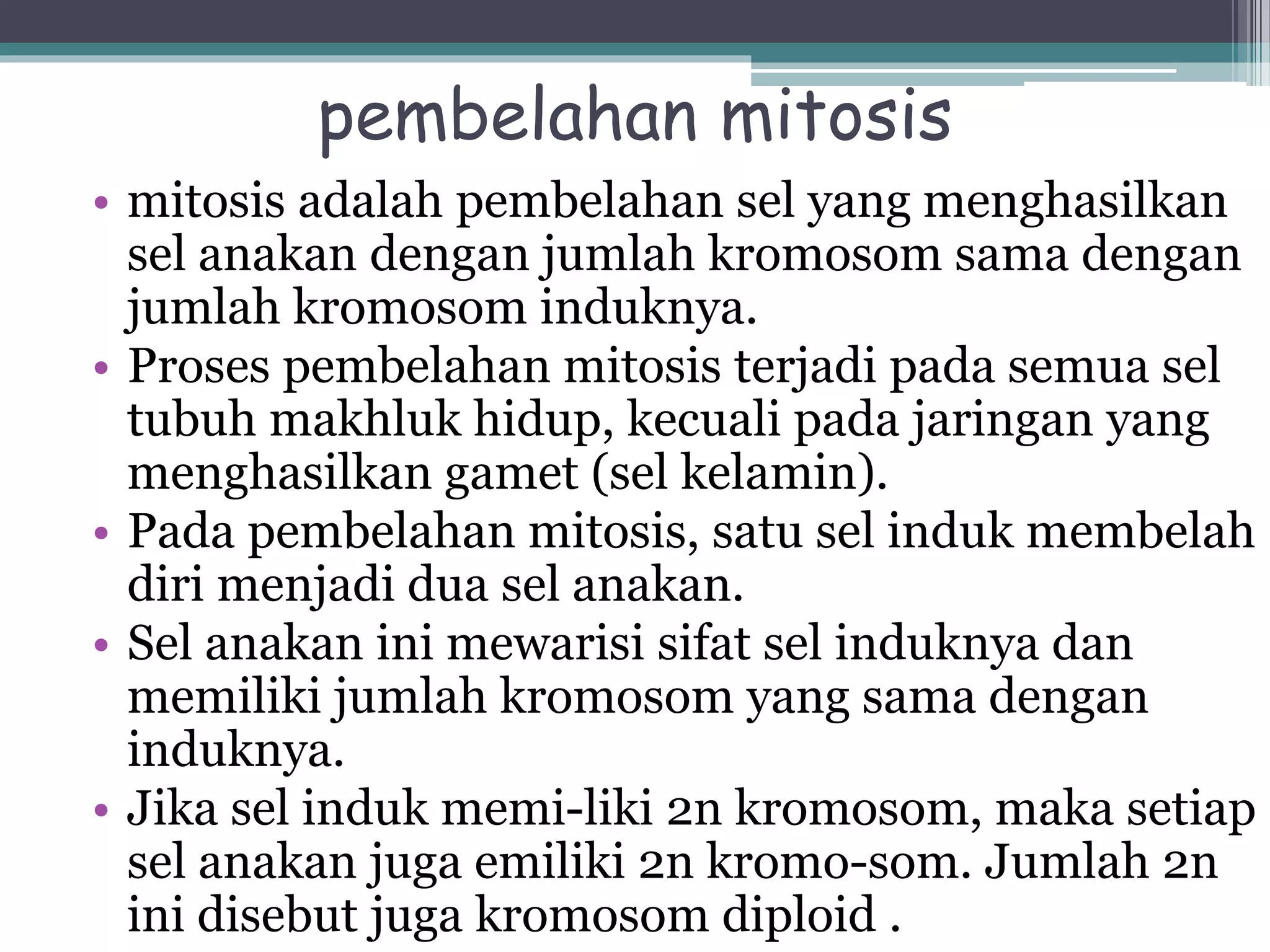 Ppt miosis mitosis | PPT