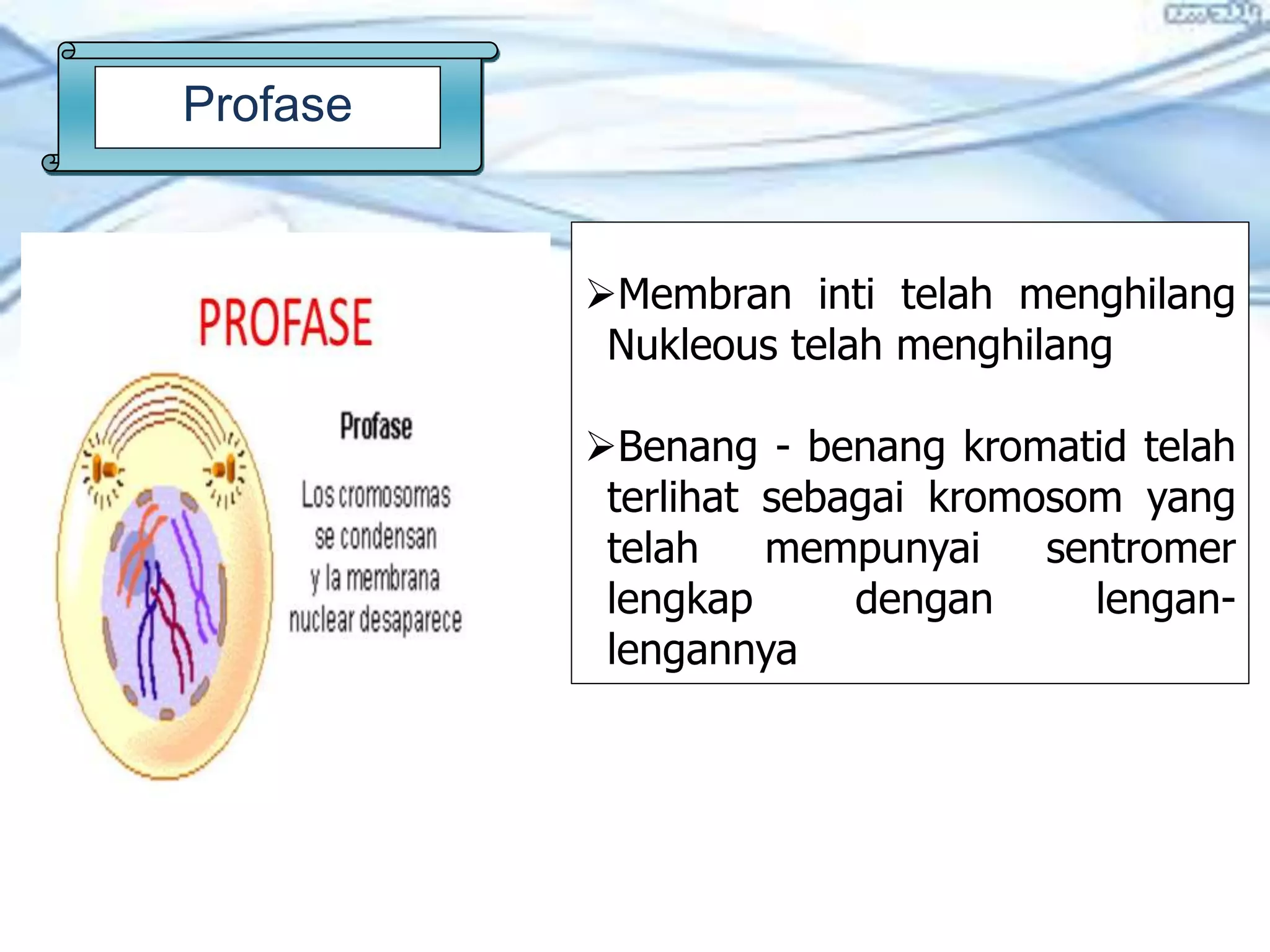 PPT mitosis.pptx